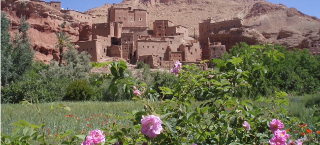 Valley of the Roses - Walking Tours, Adventures & Trekking Holidays in ...
